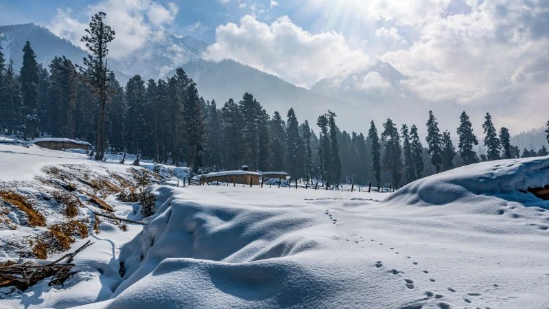 Spectacular Kashmir - Travelwise Tours